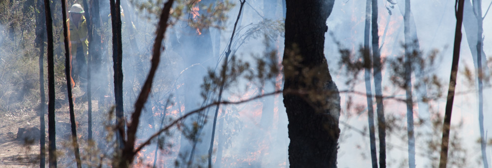 Backburning at the NSW Bushfires Coronial – Independent Bushfire Group